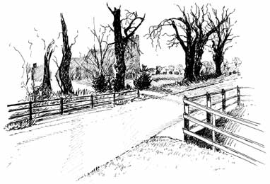 The Thurlows | River walk: Great Thurlow to Little Thurlow